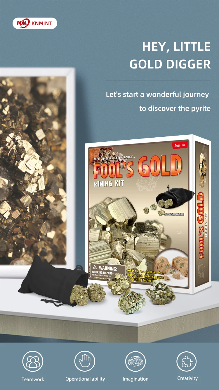 Interesting Child Craft Digging Toys Mineral Stones Fool's Gold Dig It ...