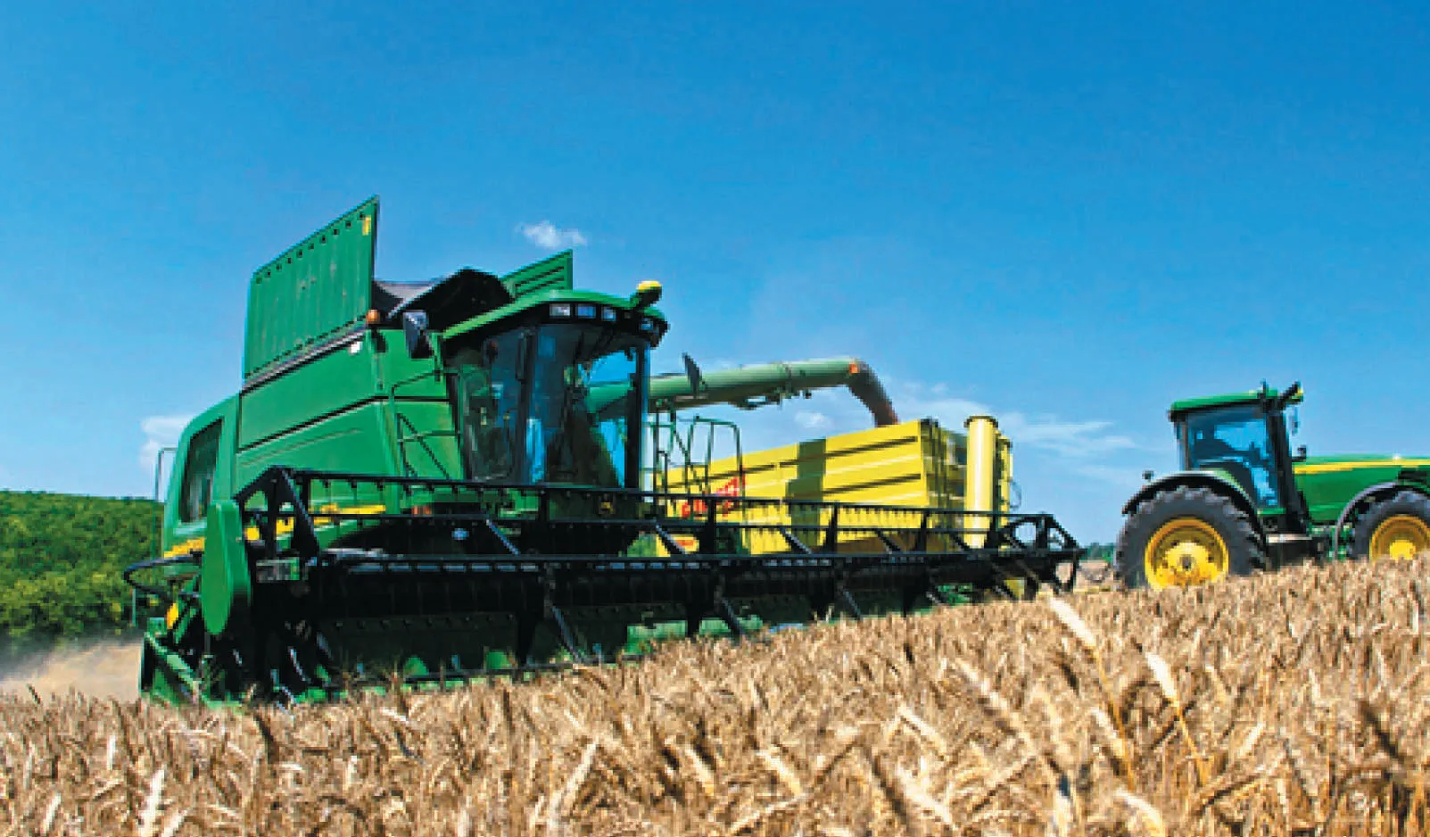 H153329 H163131 600F 600D 925D Combine Harvester Blades