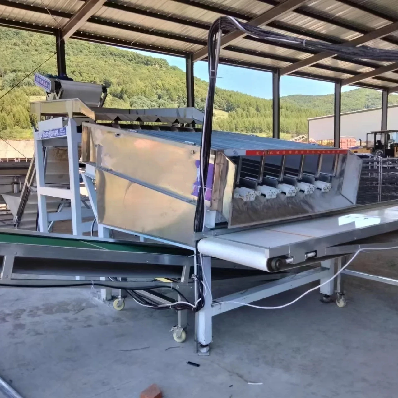 Fresh Corn Peeling Production Line|high Quality Fresh Corn Peeling ...