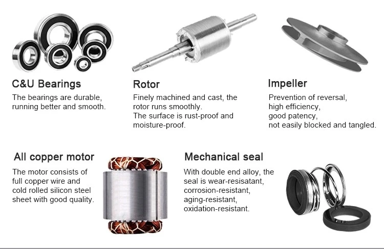 High Flow Inline Booster Pump City Electric Water Pressure Booster ...