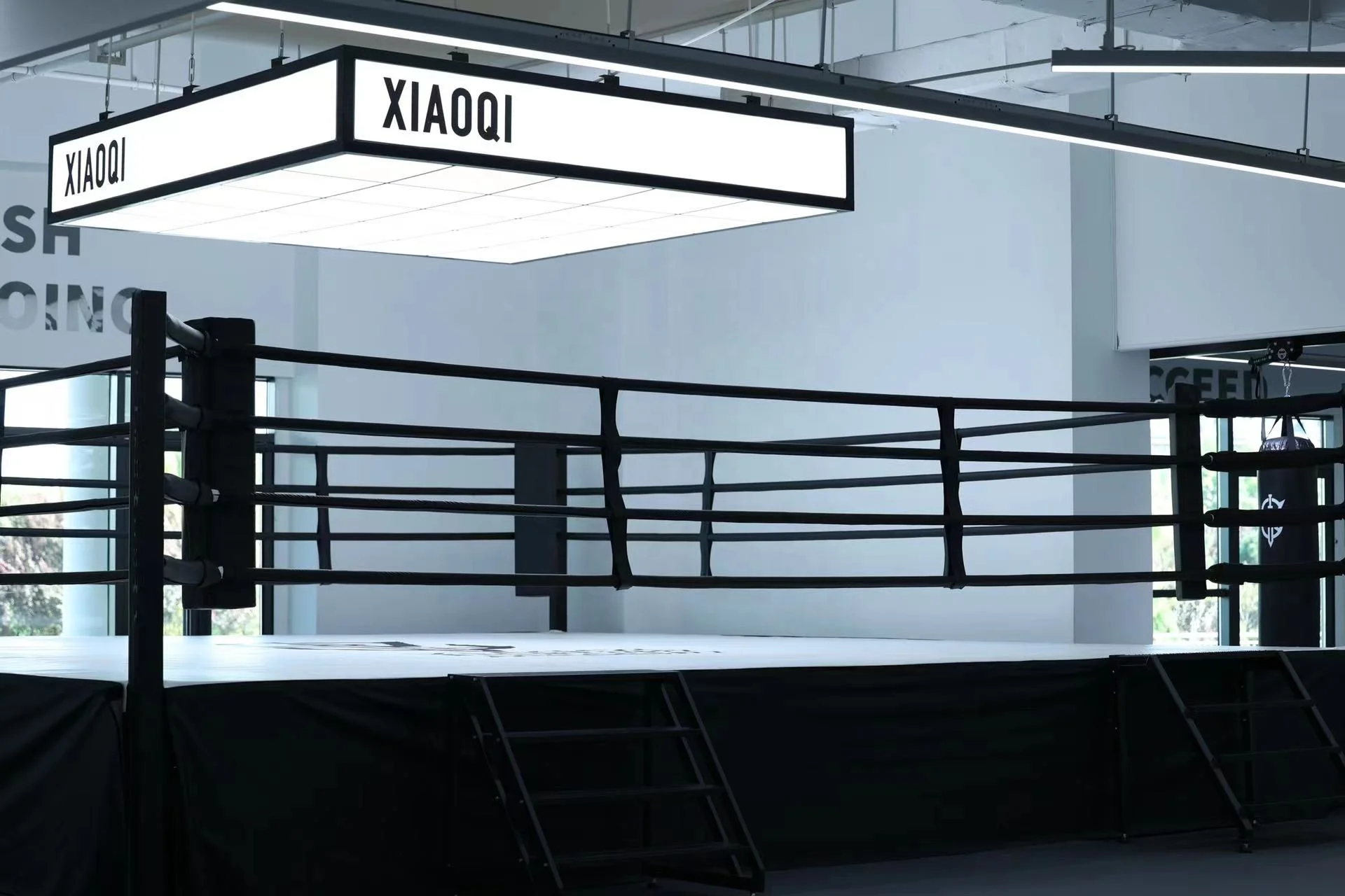 Professional Muay Thai Mma Platform Boxing Ring With Canvas Cover Ropes ...