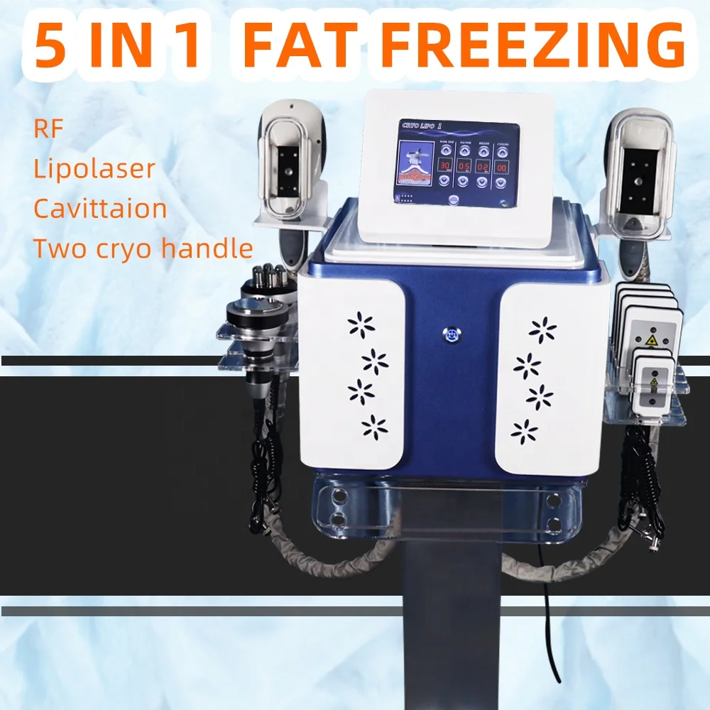 2020 China Manufacturer Cryolipolysis Machine For Sale / Criolipolisis ...