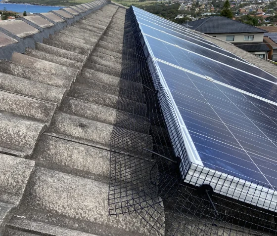 Panel Bird Mesh Stainless Steel Fasteners Solar Panel Bird Wire Mesh ...