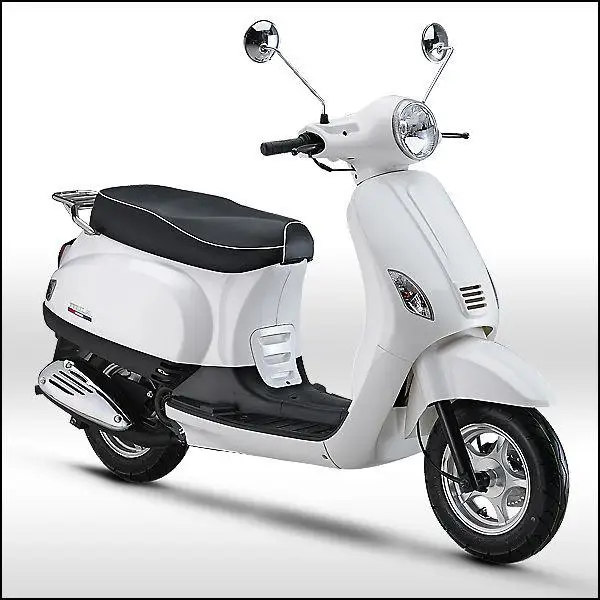 Znen Motor The New Generation Of Popular,Classical And Retro 50cc Gas ...
