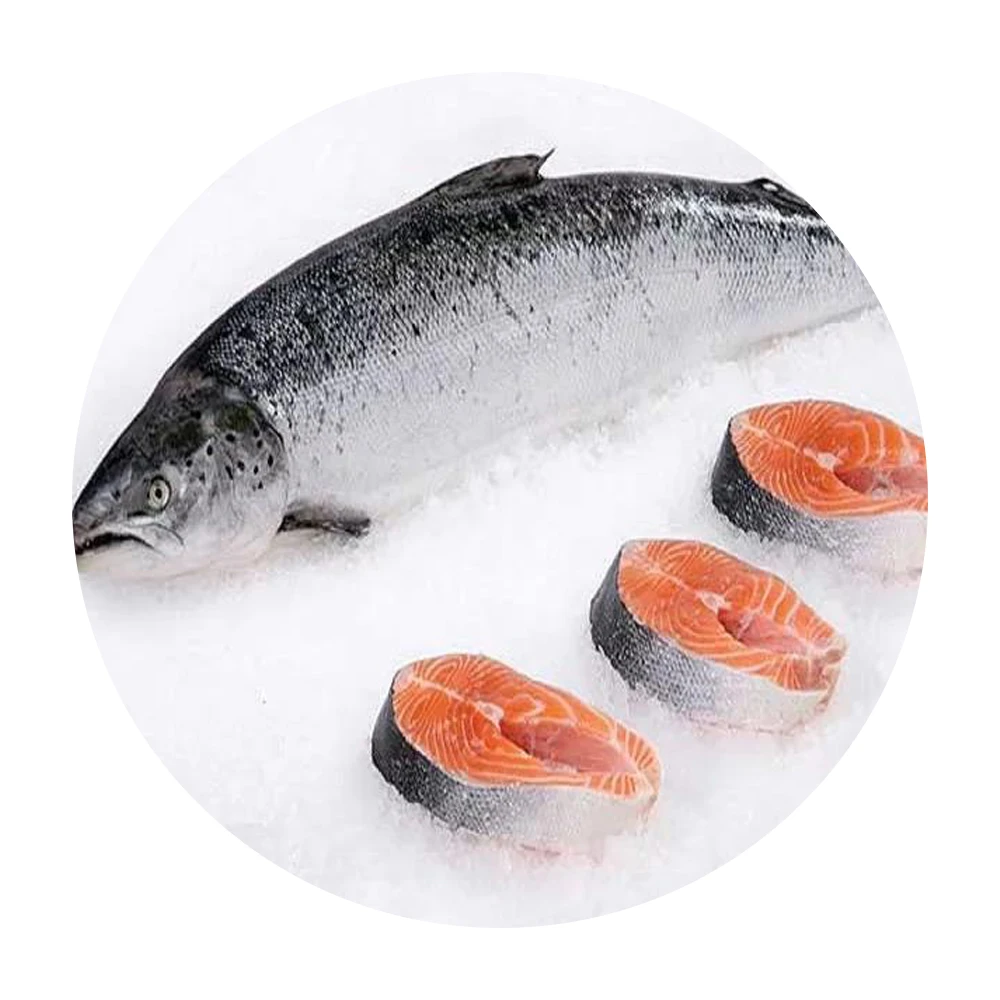 Tuna Fish Seafood Low Fat Nutritious Seafoof Tuna Premium Quality Whole ...