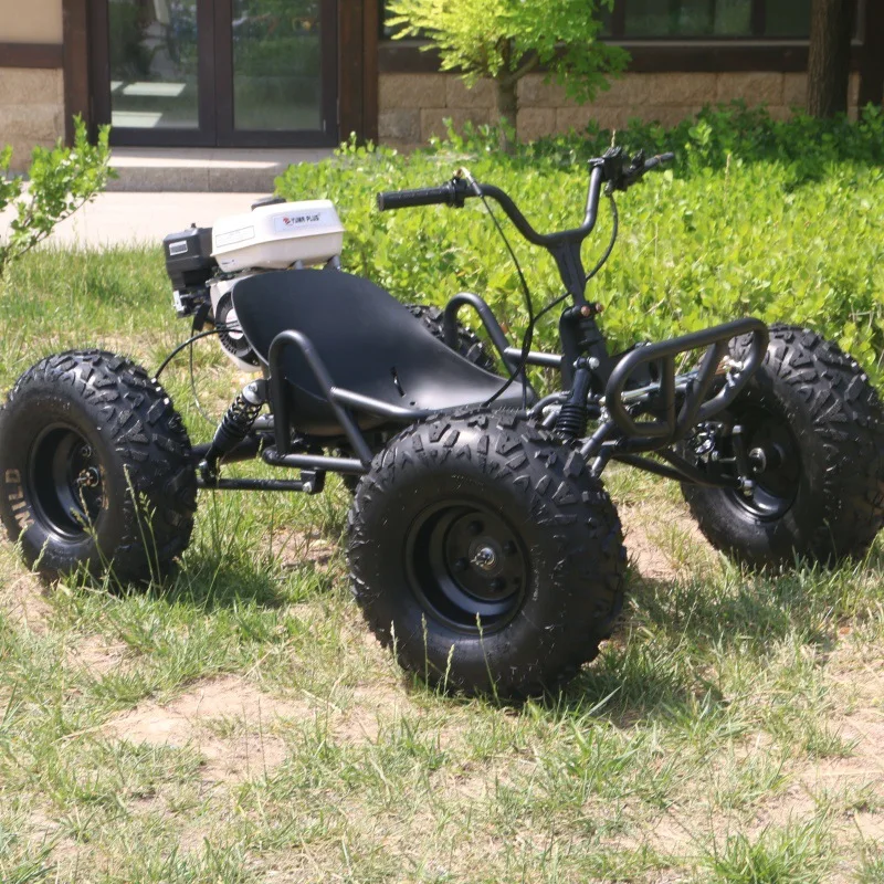 212cc Off Road Go Kart for Adults - 10" Tires, 60km/h Max Speed, Ideal ...