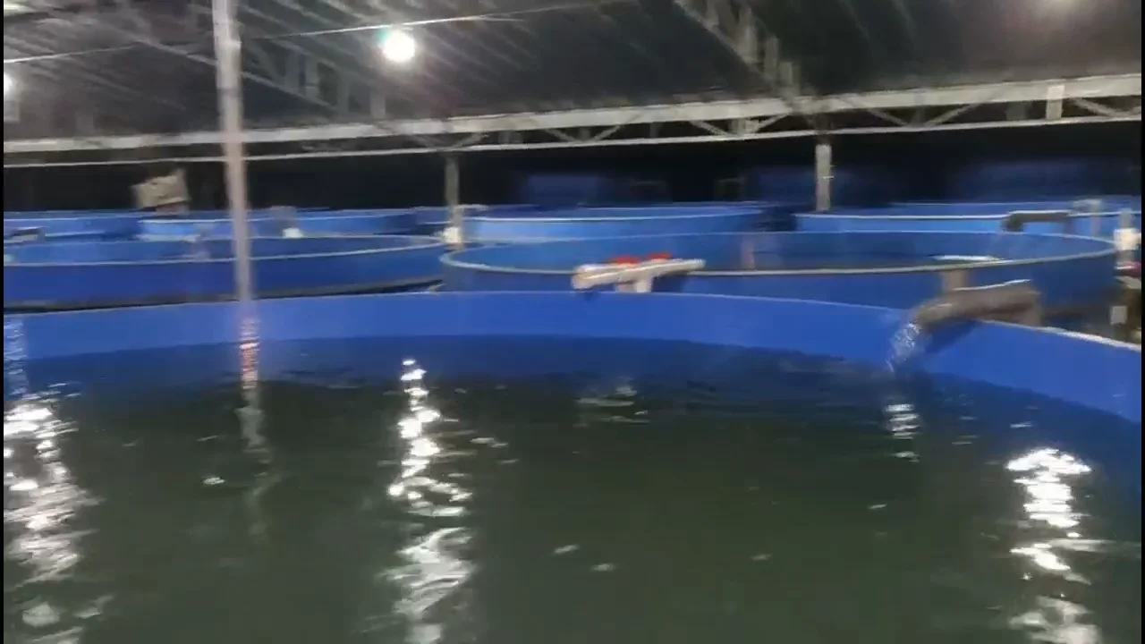 Indoor Fish Farming Aquaculture System Catfish Farm Recirculating ...