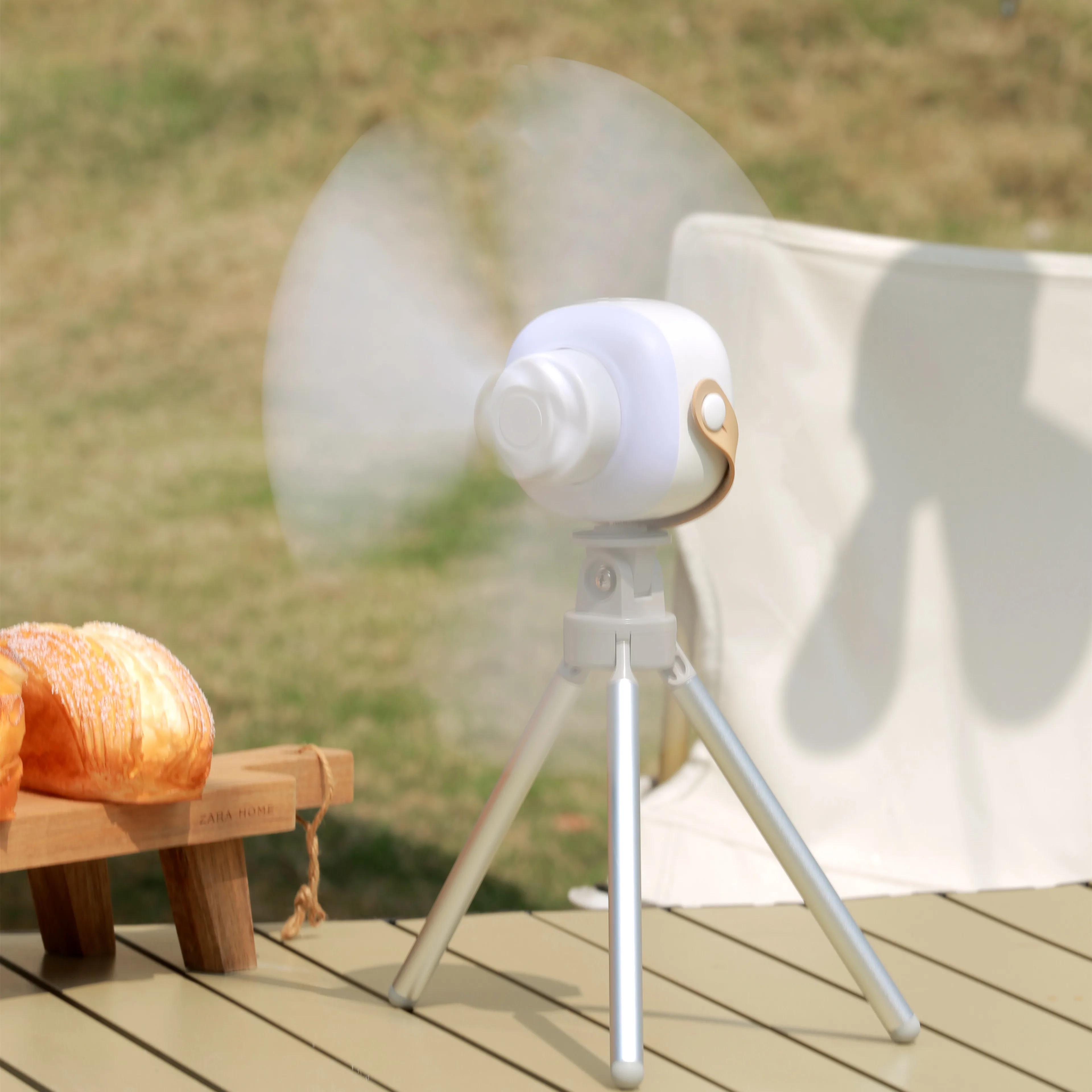 Led Fans Bldc Modern Light And Remote Chandelier Outdoor Smart With-fan ...