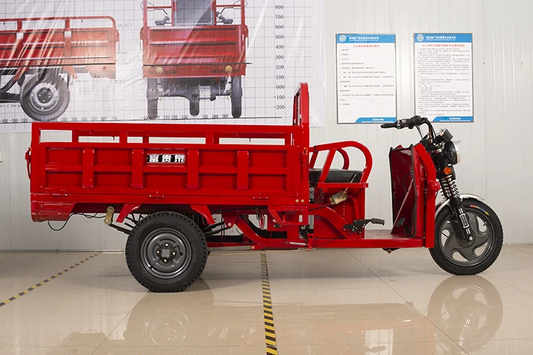 3 Wheel Cargo Carrier Tricycle - 1.72M Cargo Box