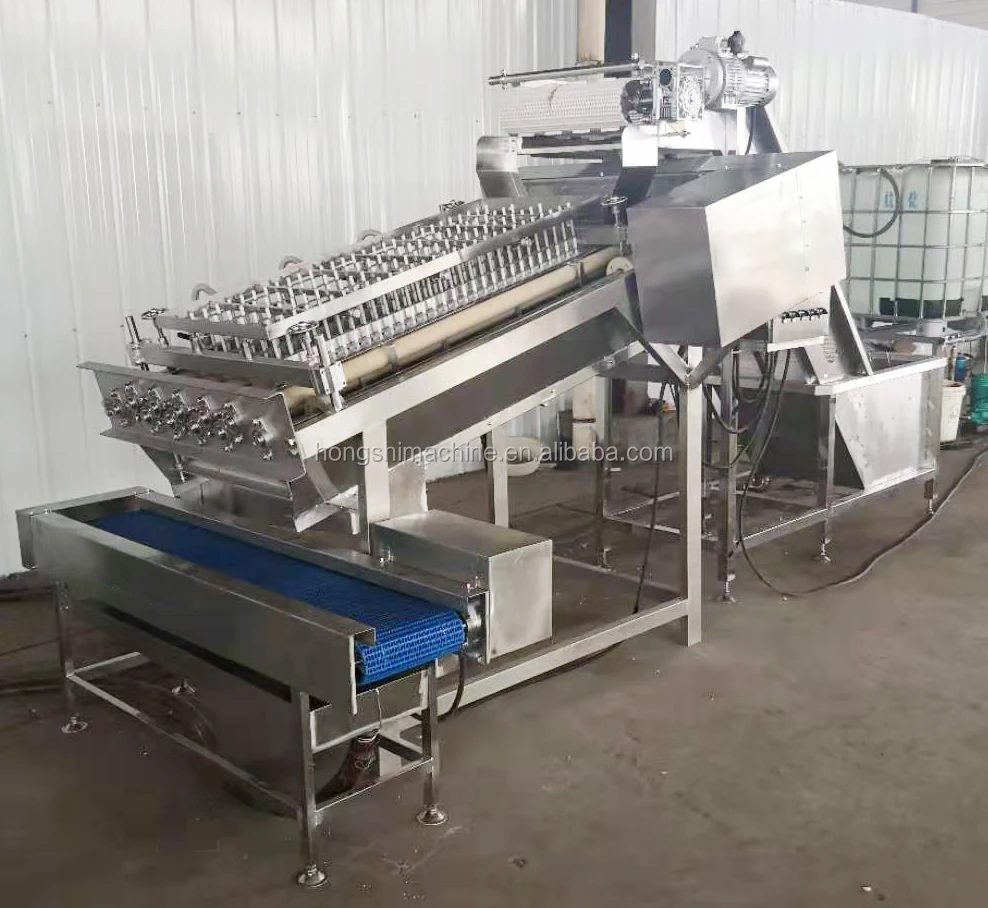 Automatic Prawn Shell Removing Machine Fresh Shrimp Shell Peeling ...