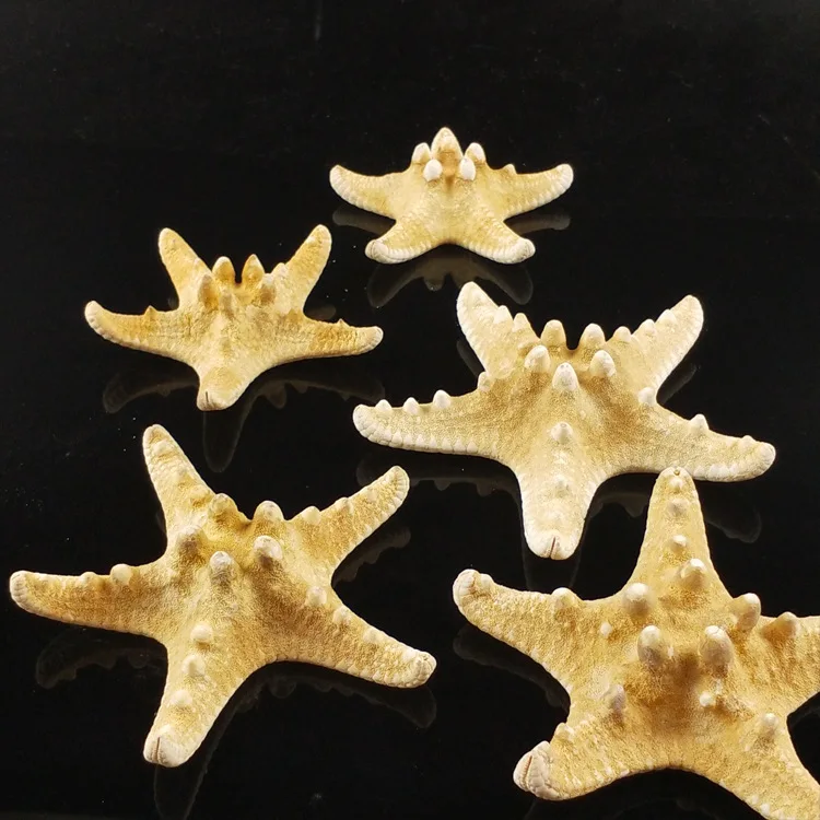 Natural Yellow Starfish - Seashell Crafts for Home Decor
