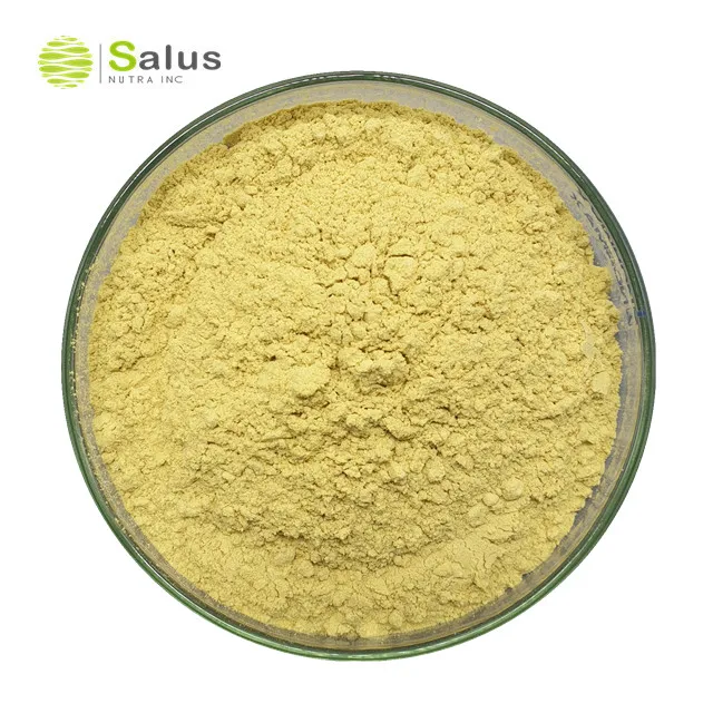 Pure Natural Lichen Usnea Extract Usnic Acid 98% - Buy Usnic Acid,Usnic ...