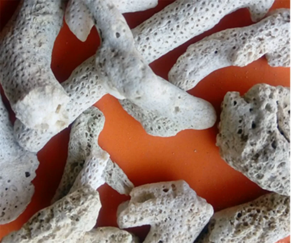 Natural Bone Sand Eco-friendly Porous Coral Bone For Glass Aquarium ...