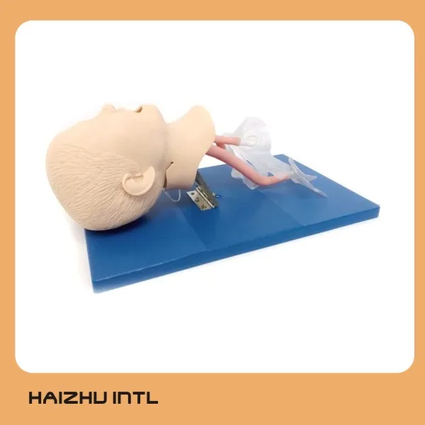 First Aid Training Airway Intubation Simulator,Tracheal Intuabtion ...
