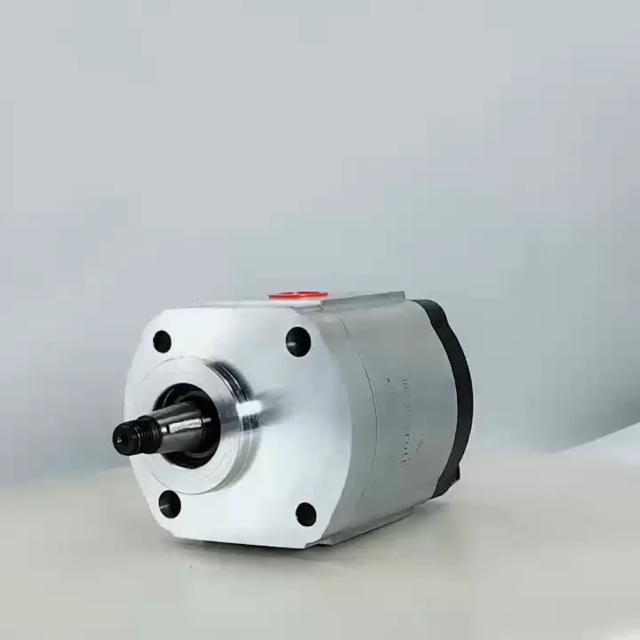 Casappa Plm Plp Plp30 Plp20 Plp10 Series Gear Pump Plp20.25 S054 B2-lbe ...