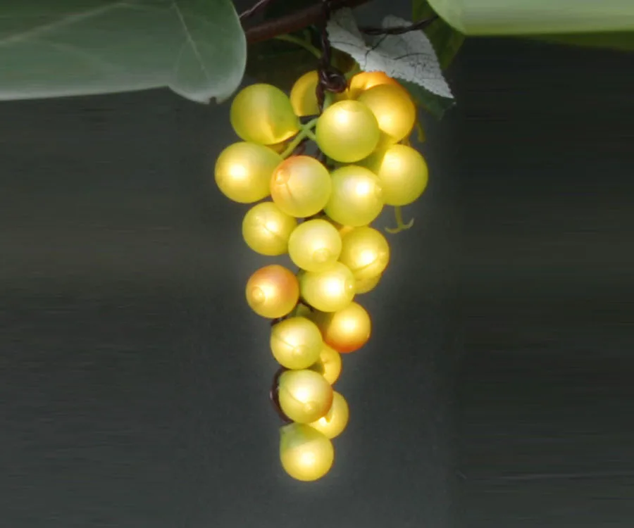 100 Leds Battery Operated Grape Led String Light Outdoor Garden ...