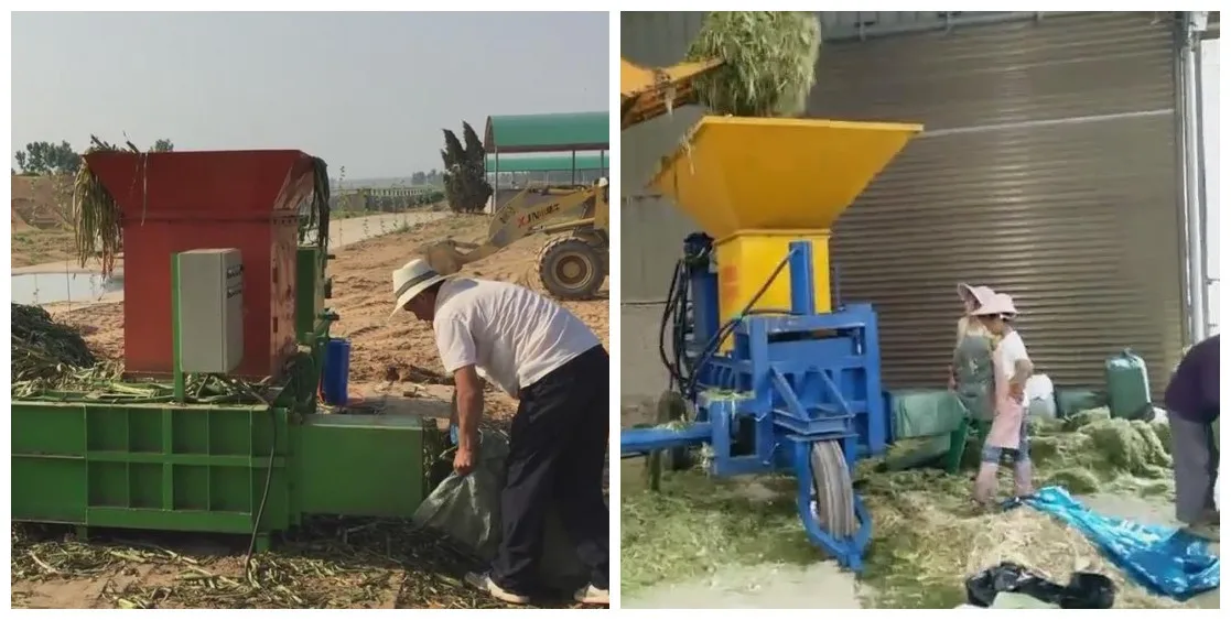 Hybrid Giant Napier Grass Dry Forage Packing Machine Alfalfa Pasture ...