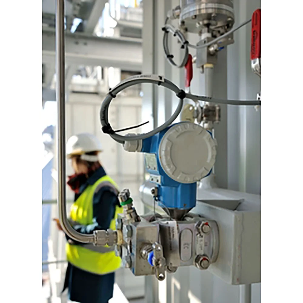 Original E+h/endress+hauser Deltabar Pmd75 Differential Pressure ...