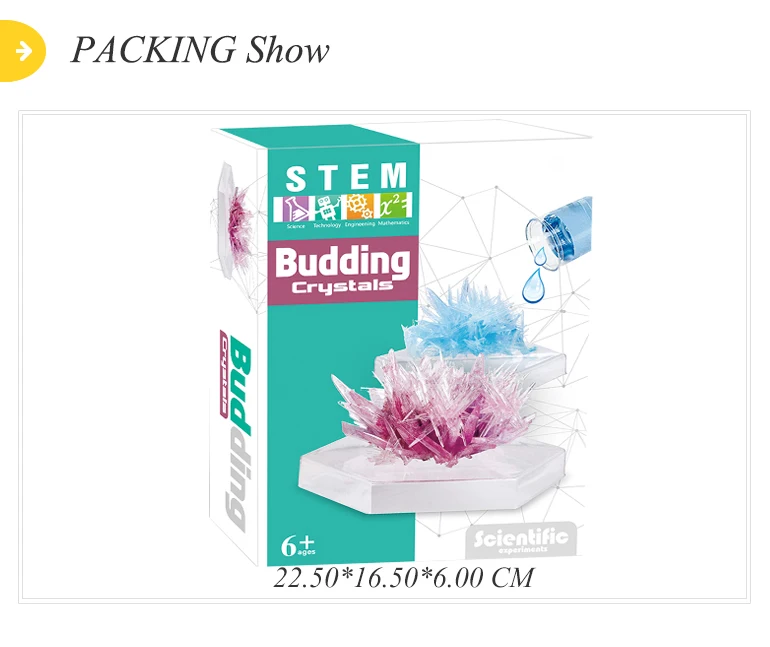 Educational Kids Play Budding Crystals Discovery Science Projects| Alibaba.com