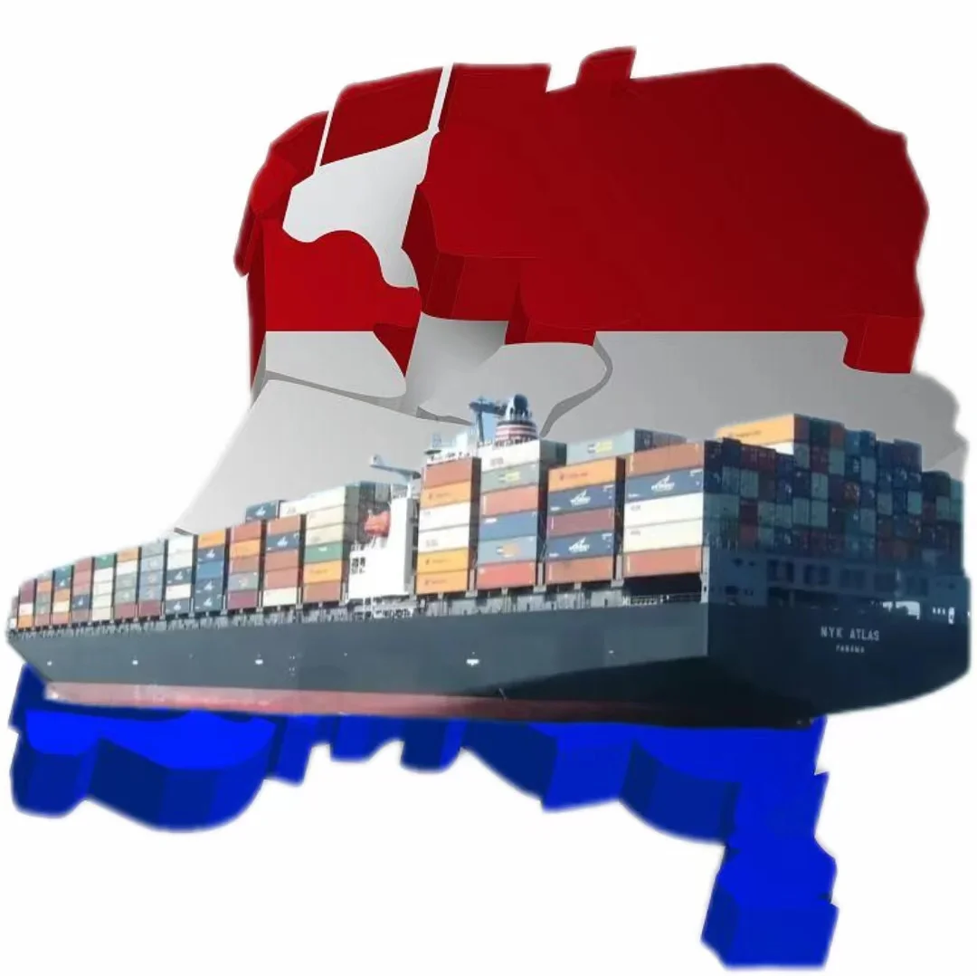 【モデル】 中国/深セン/上海から世界中への船便 (fob Cif Ddp Ddu期間付き) キャリア