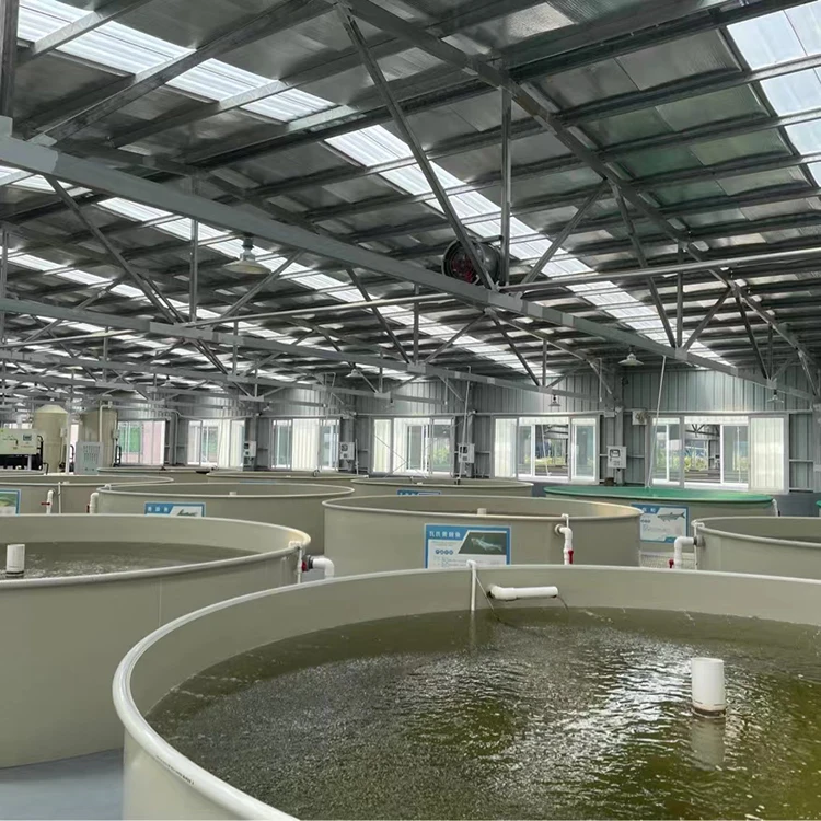 Modern Fish Farming with RAS Systems - Efficient & Sustainable