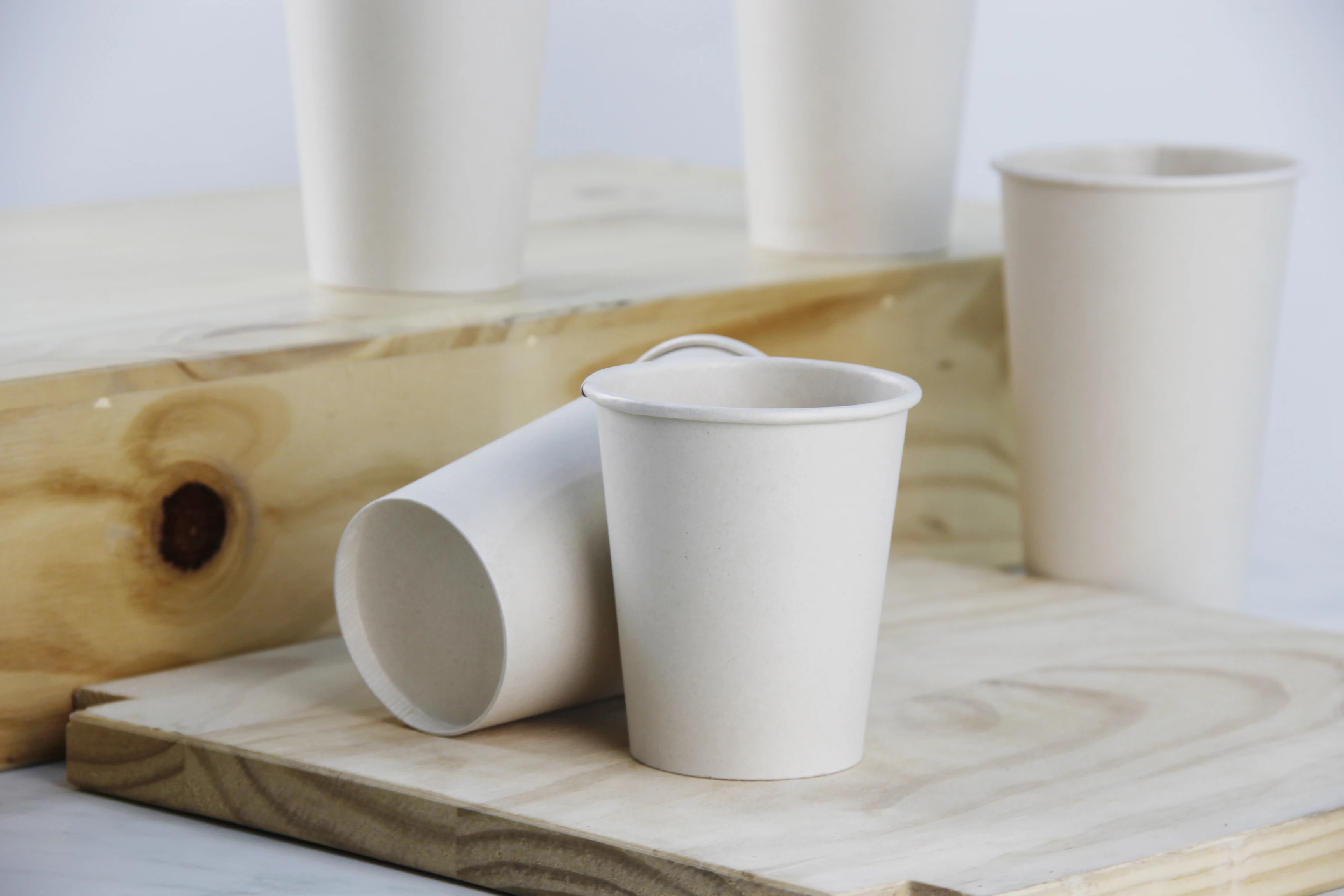 Sugar Cane Manufacturer Produces Sugar Cane Take Away Coffee Cups - Buy ...