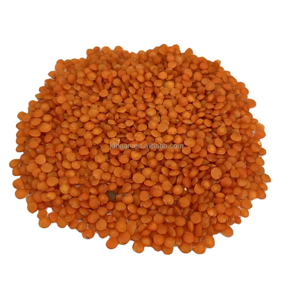 Whole Red Lentil with Husk - Dried Split Lentils Kacang Lentil