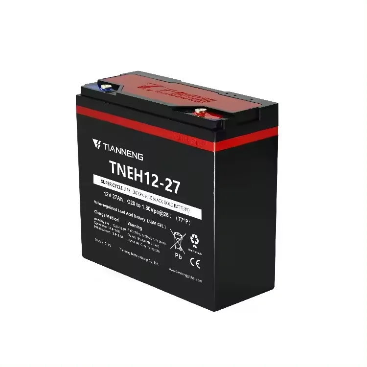 Tianneng 60V 20AH Lead Acid Battery for Electric Vehicles