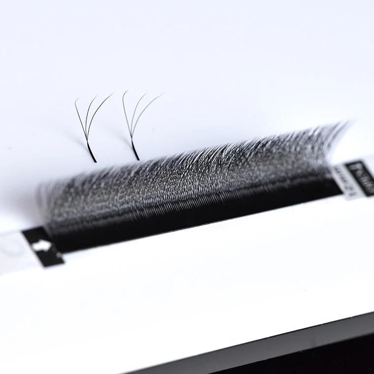 Lashplus Label Lash Extensions W 3d 4d 5d 6d 7d 8d 9d Y Shape Volume ...