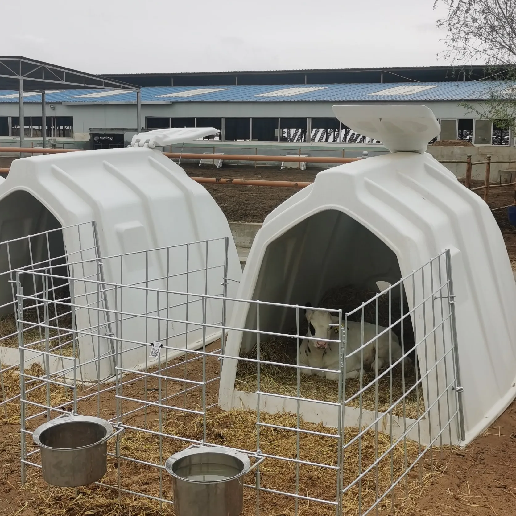 Livestock Cage Calf Hutch House - Buy Cheap Calf Hutch Calf Pen,House ...