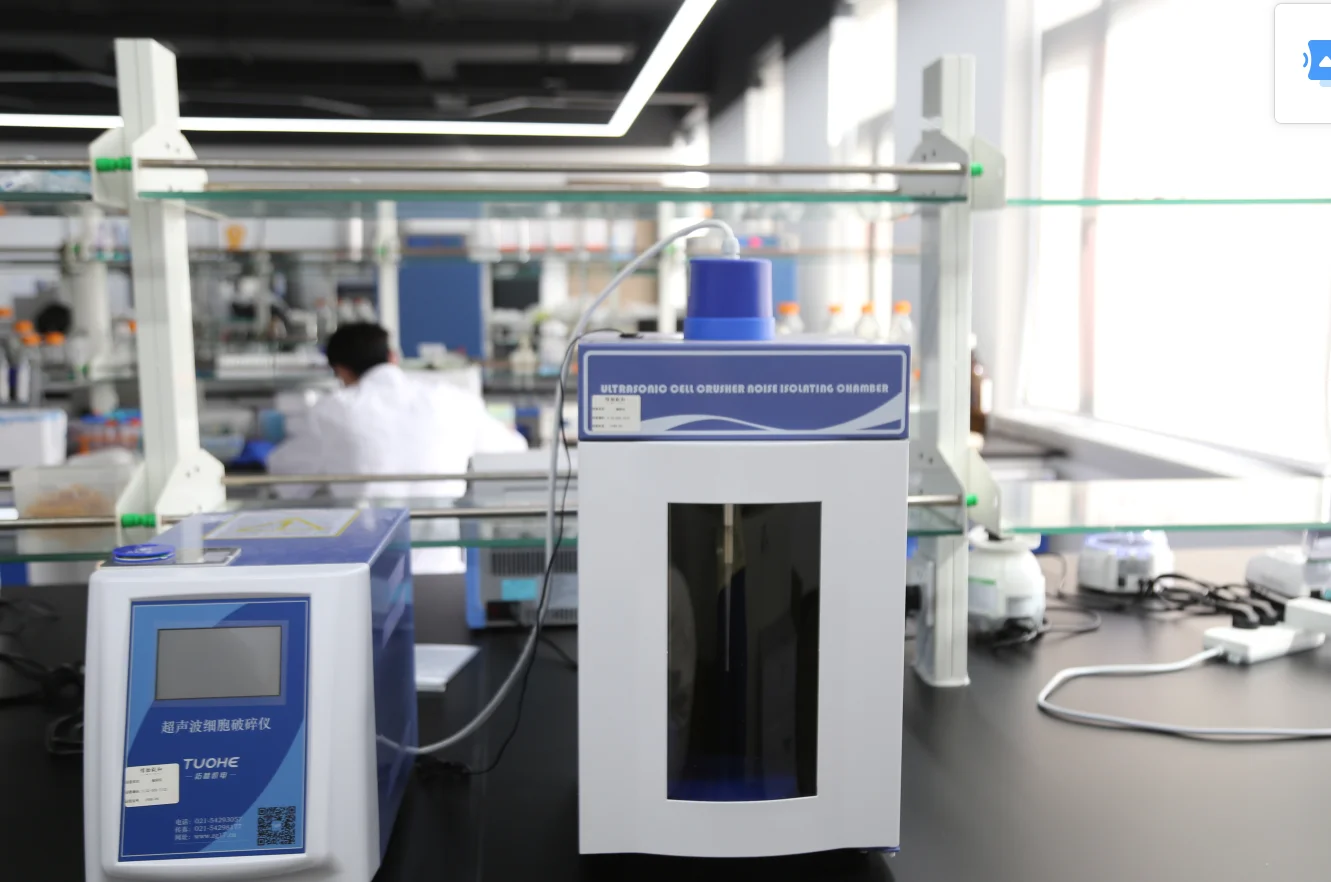 2xrna Loading Buffer Total Rna Electrophoresis Bromophenol Blue - Buy Rna Electrophoresis ...