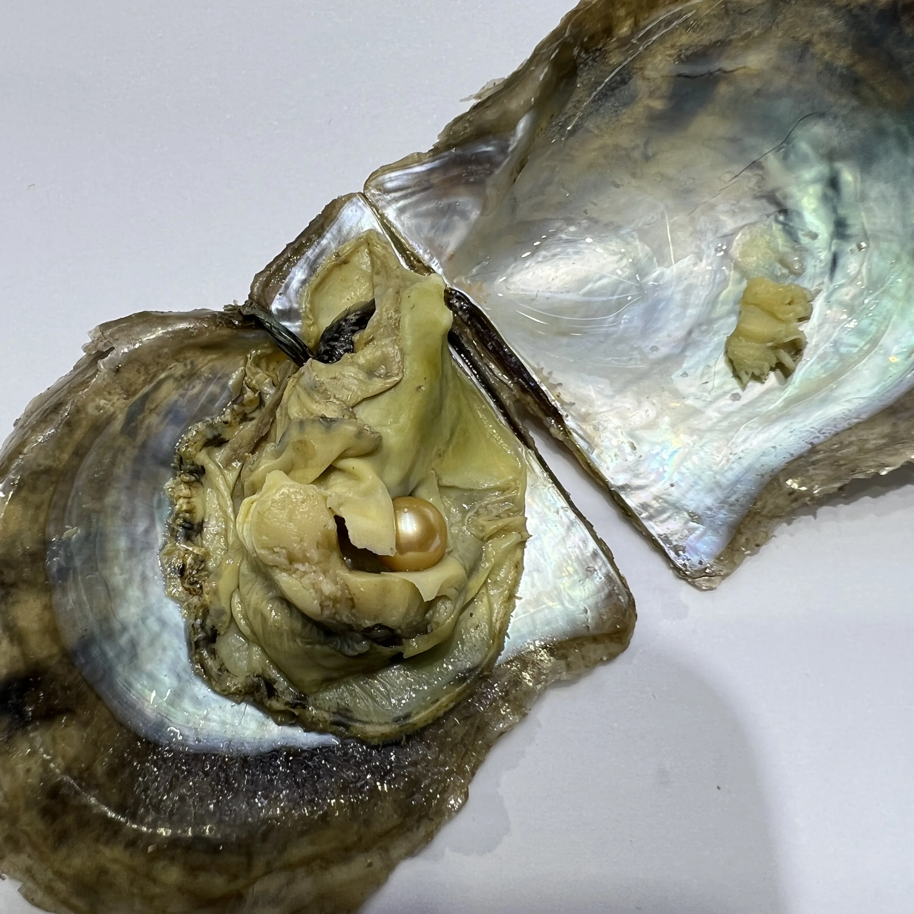 100pcs Mixed 7mm Colors Natural Freshwater Pearl Aaaaa Grade In Akoya ...