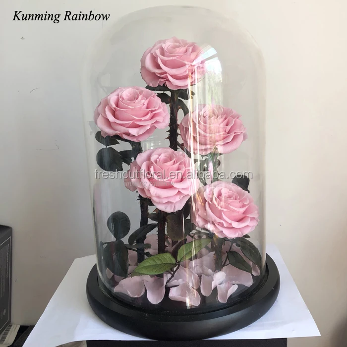 Eternity Preserved Roses - Perfect for Wedding & Home Decor