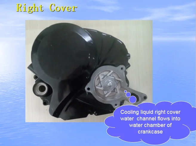 2024 CG300 300CC Water Cooled Cargo Tricycle Engine - 4 Stroke CDI Ignition