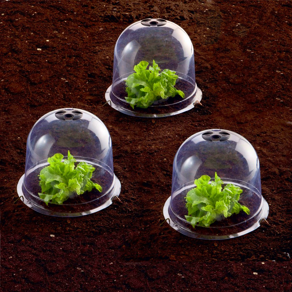 Garden Cloche Dome Plastic Plant Protect Bell Cover Mini Greenhouse ...