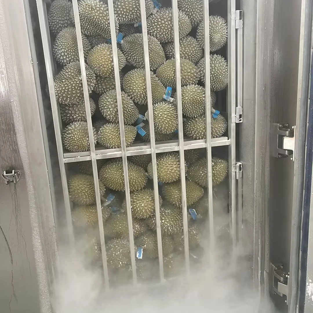 Ultra-low Temperature Liquid Nitrogen Durian Quick Freezing Cabinet ...