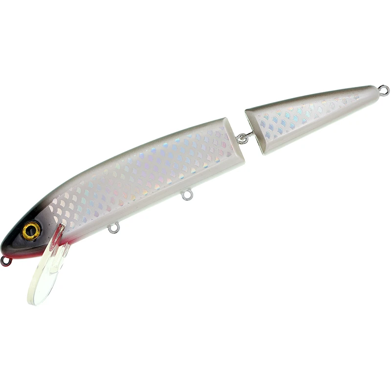 Big Minnow Lure - Jake Baits for Freshwater & Saltwater