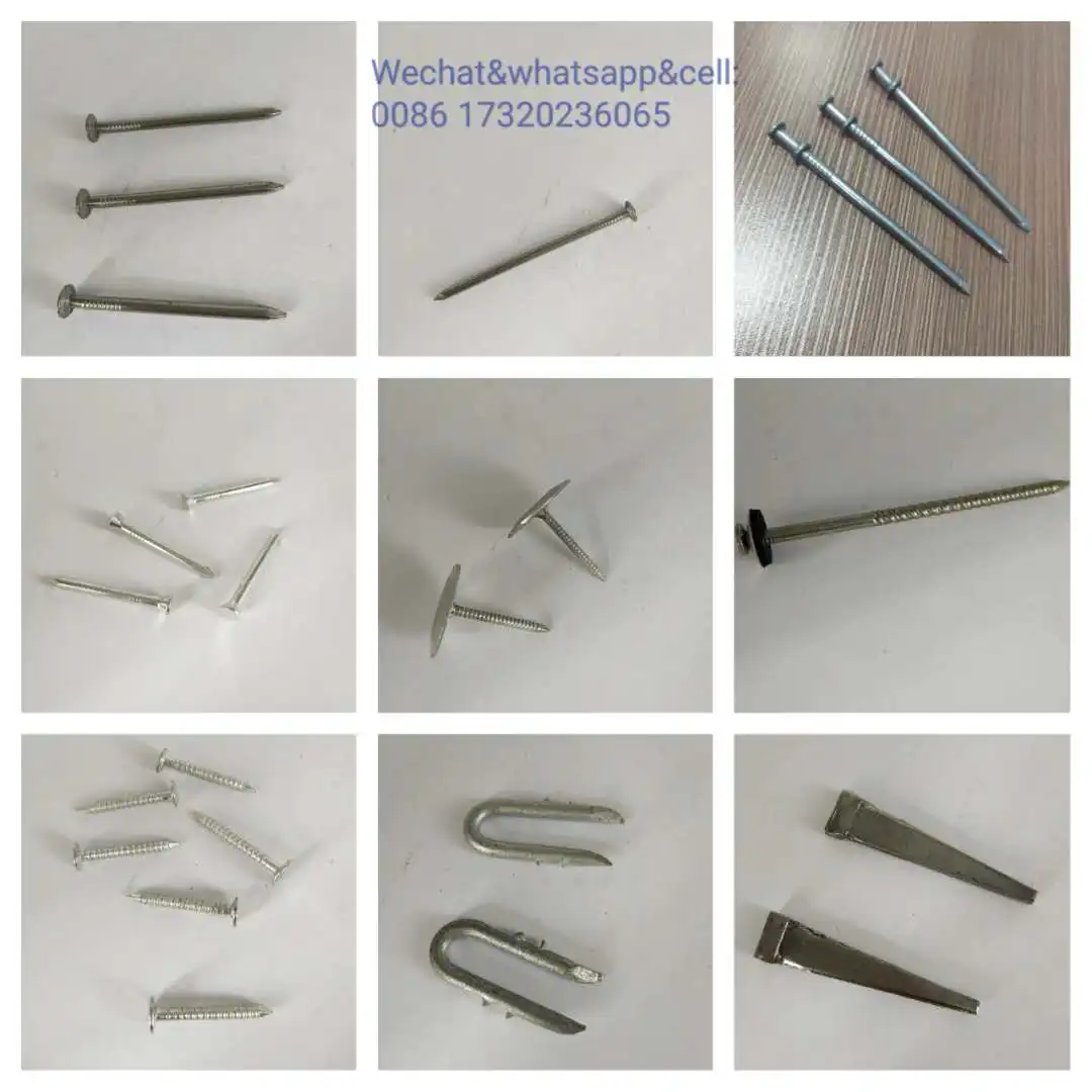 2-3/4 Inch Canada Polished Duplex Head Nails 50 Lb/box - Buy 16d Duplex ...