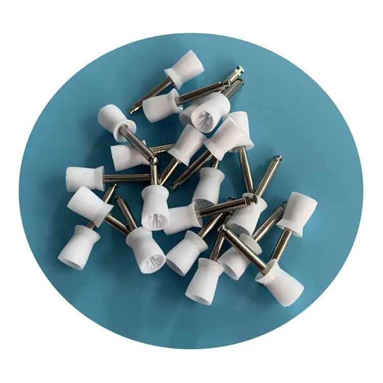 High Quality Dental Rubber Cup Prophylaxis for Low Speed