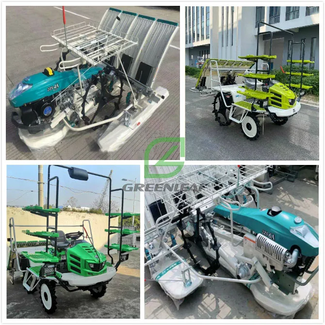 6 Rows Rice Nursery Seeder High Speed Rice Seeder Planting Machine ...