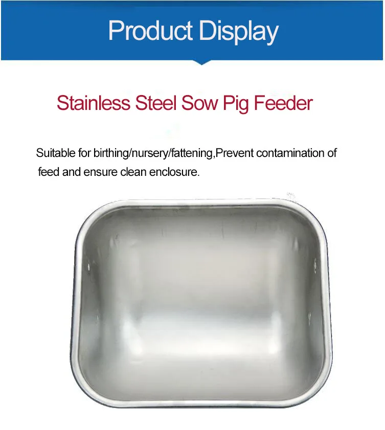 Automatic Stainless Steel Sow Feeder Trough - Oem Available | Wholesale