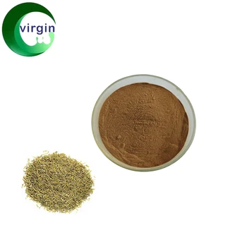 Factory Supply Ma Huang Extract Powder With Lowest Price - Buy Ma Huang ...