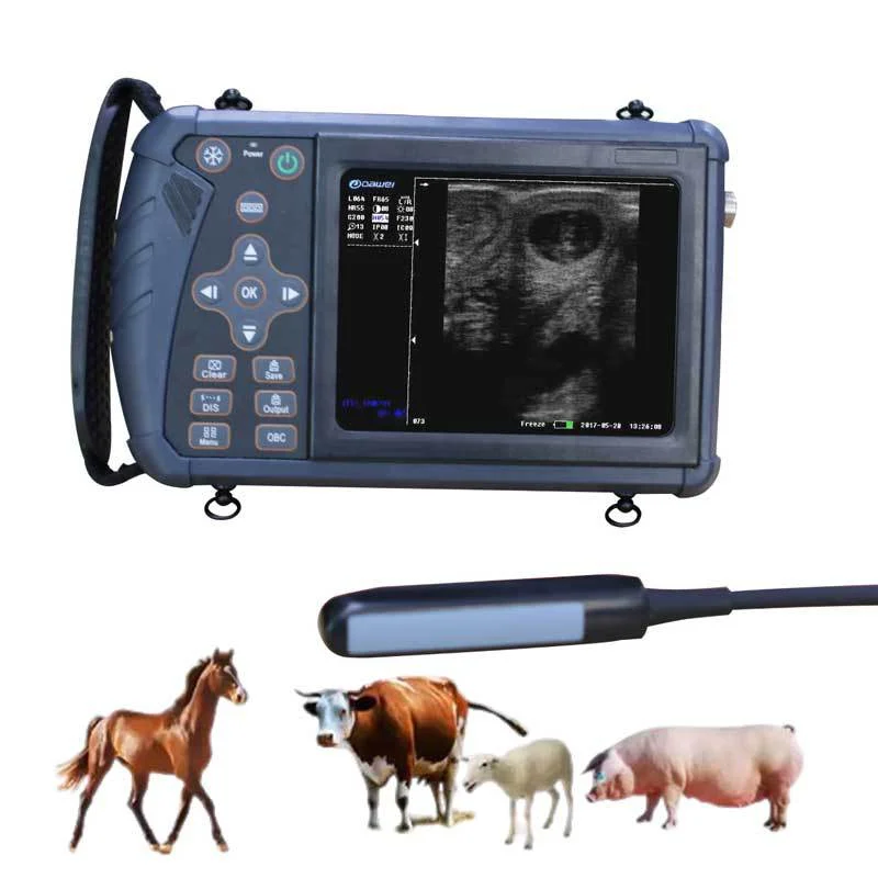Handheld Veterinary Ultrasound System Wireless Ultrasonic Machine for ...