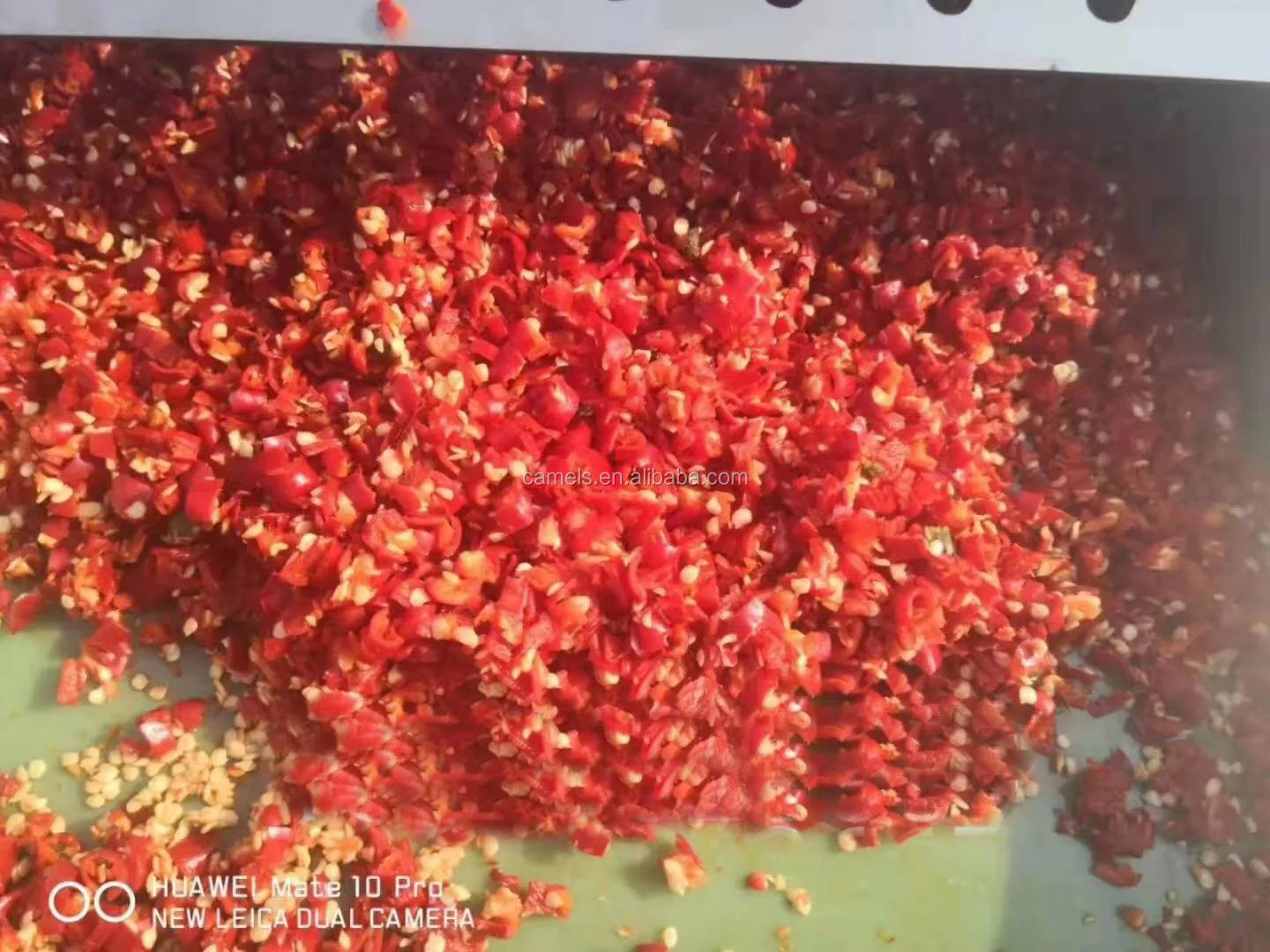 Chilli Cutter Machine Red Chilli Cutter Fresh Green Chilli Cutting ...