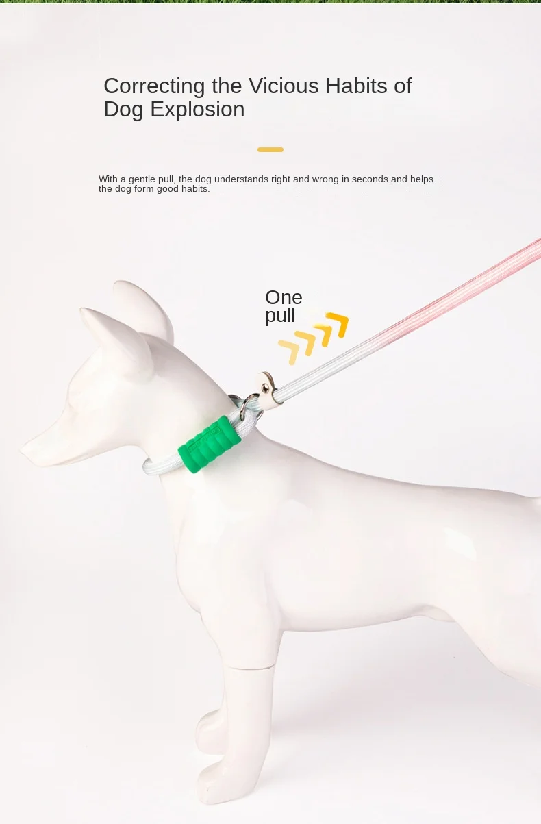 Explosion-Proof Medium Small Dog Traction Rope Anti-Break Free P Chain ...