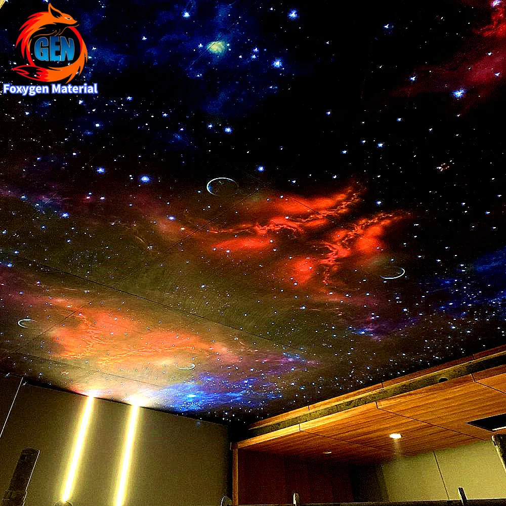 Premium Oem Factories Commercial Integrated Fiber Optic Staryy Sky ...