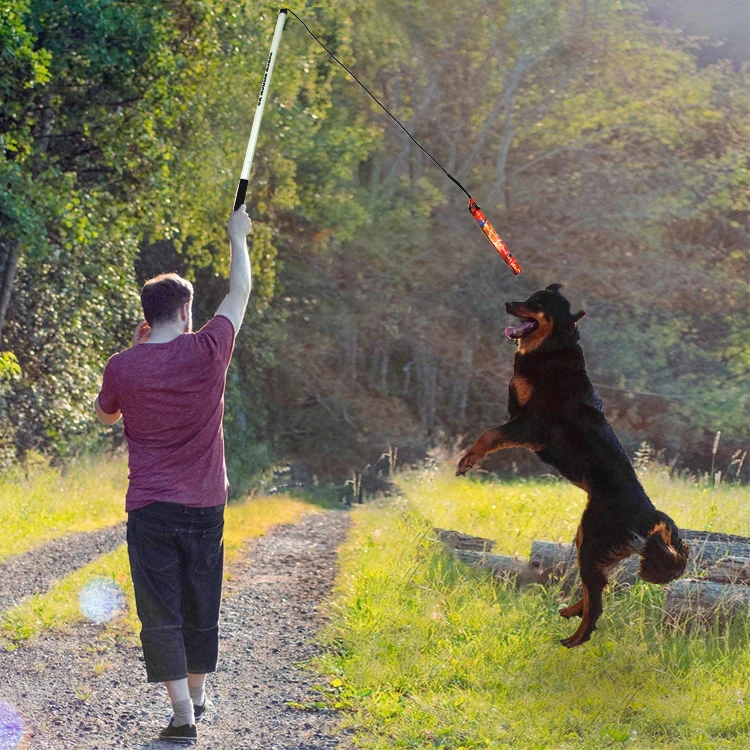 Flirt Pole For Dogs Heavy Duty With 30 Inch Rope And Two Toys For All ...