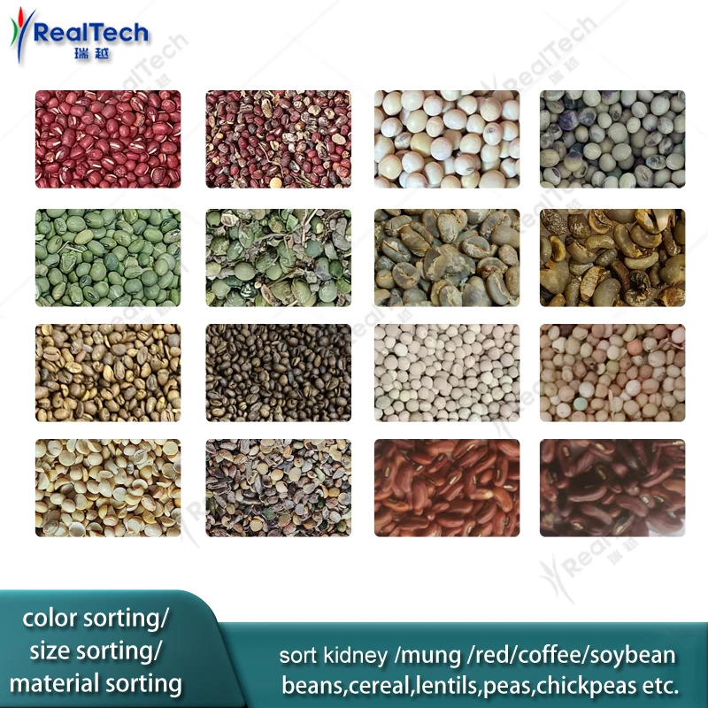 64 Channels Bean Color Sorter - High Accuracy & Efficiency