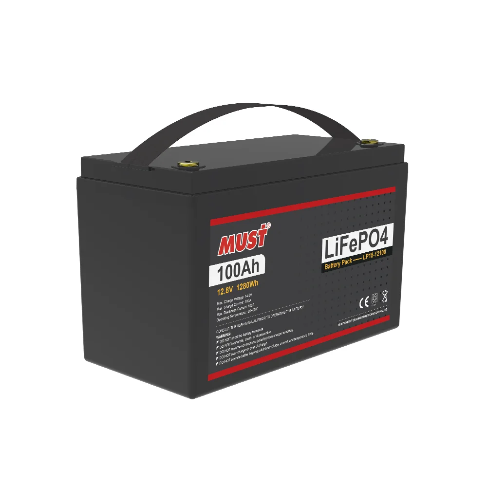 Must Batteries Ion 100ah 12v Charger Lifepo4 Solar Charging