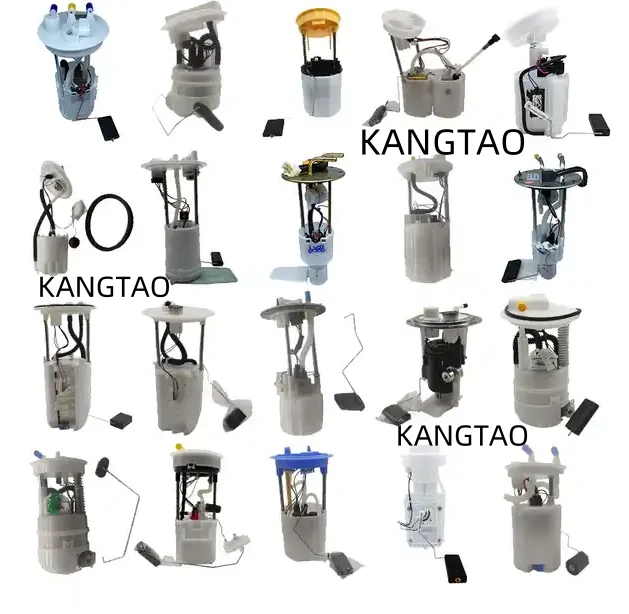 Kangtao Auto Parts Fuel Pump Assy E8023 E8119 E8235 E8247 E8272 E3222 ...